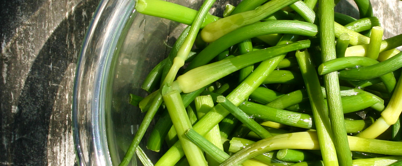 Fleurs d'ail fraîches du Québec | Comment cuisiner les fleurs d'ail ...